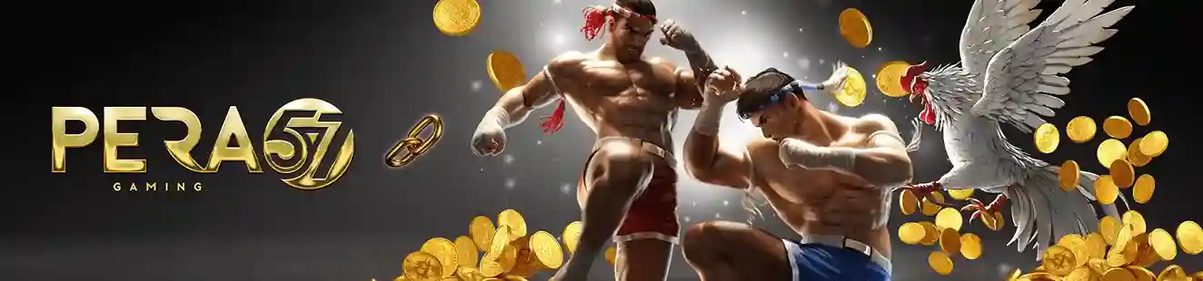 PERA57 Official Homepage - PERA57 | Official Website